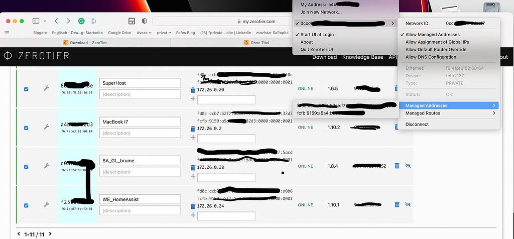 No ipv4 client ip only ipv6 - Community Support - ZeroTier Discussions