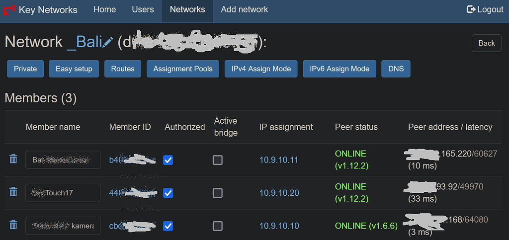First time experience using (self hosted) ZeroTier - Community Support - ZeroTier Discussions